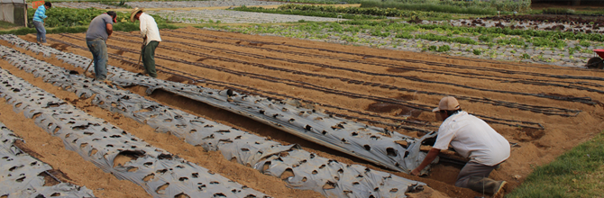 Doctorado en Ciencias Agropecuarias y Desarrollo rural - Universidad ...