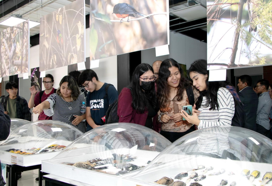 Inician actividades en el CIB por el Mes de las Aves - Universidad ...