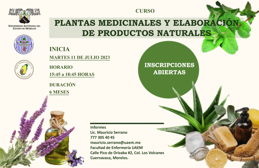 Curso de plantas medicinales y elaboración de productos naturales ...
